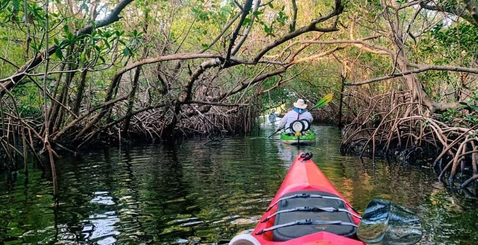 Paddling Trails — Florida Paddling Trails Association
