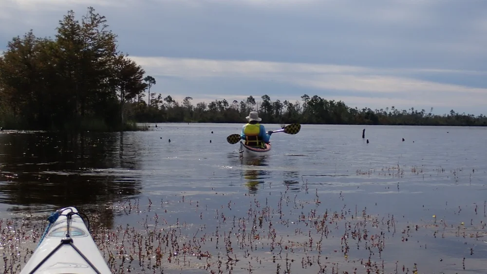 Florida Paddling Trails Association