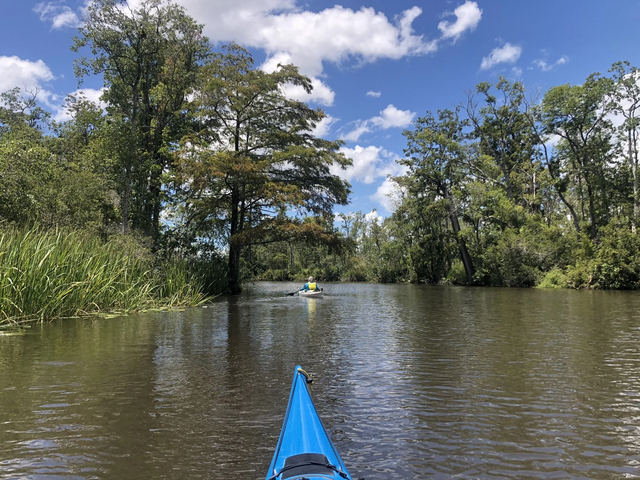 Florida Paddling Trails Association