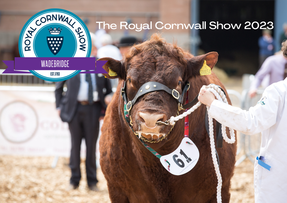 Join us at The Royal Cornwall Show 2023 — Addington Fund