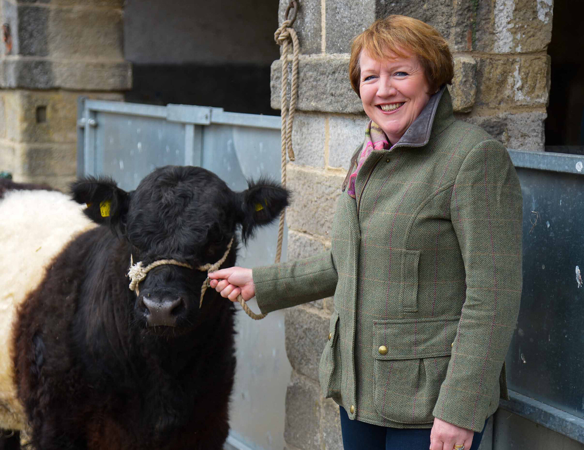Our Trustees — Addington Fund