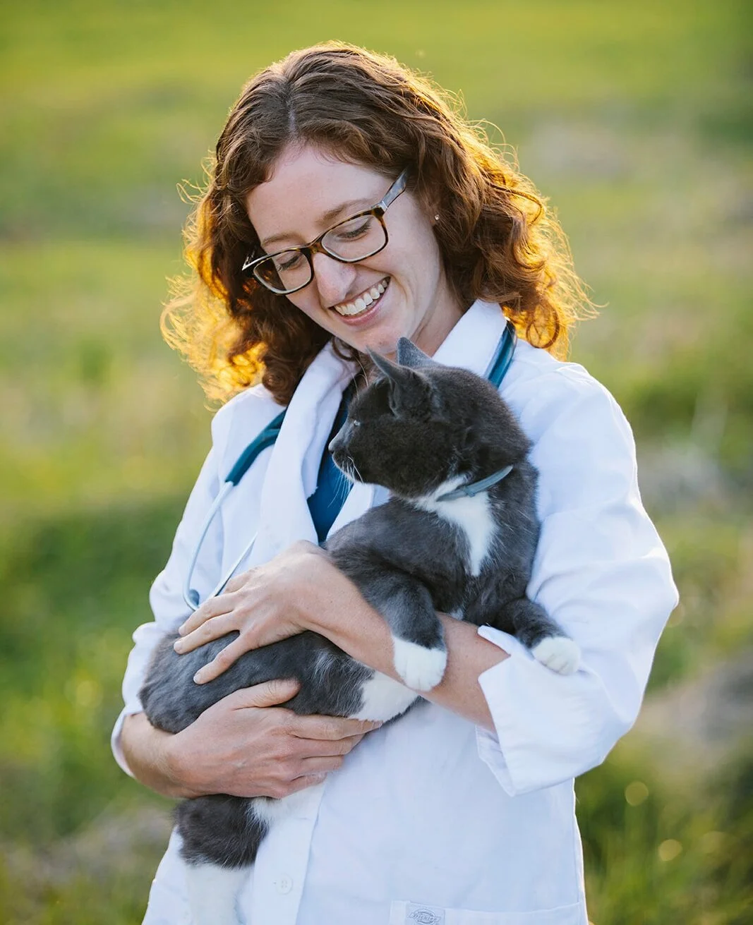 Our Team — Affectionately Cats