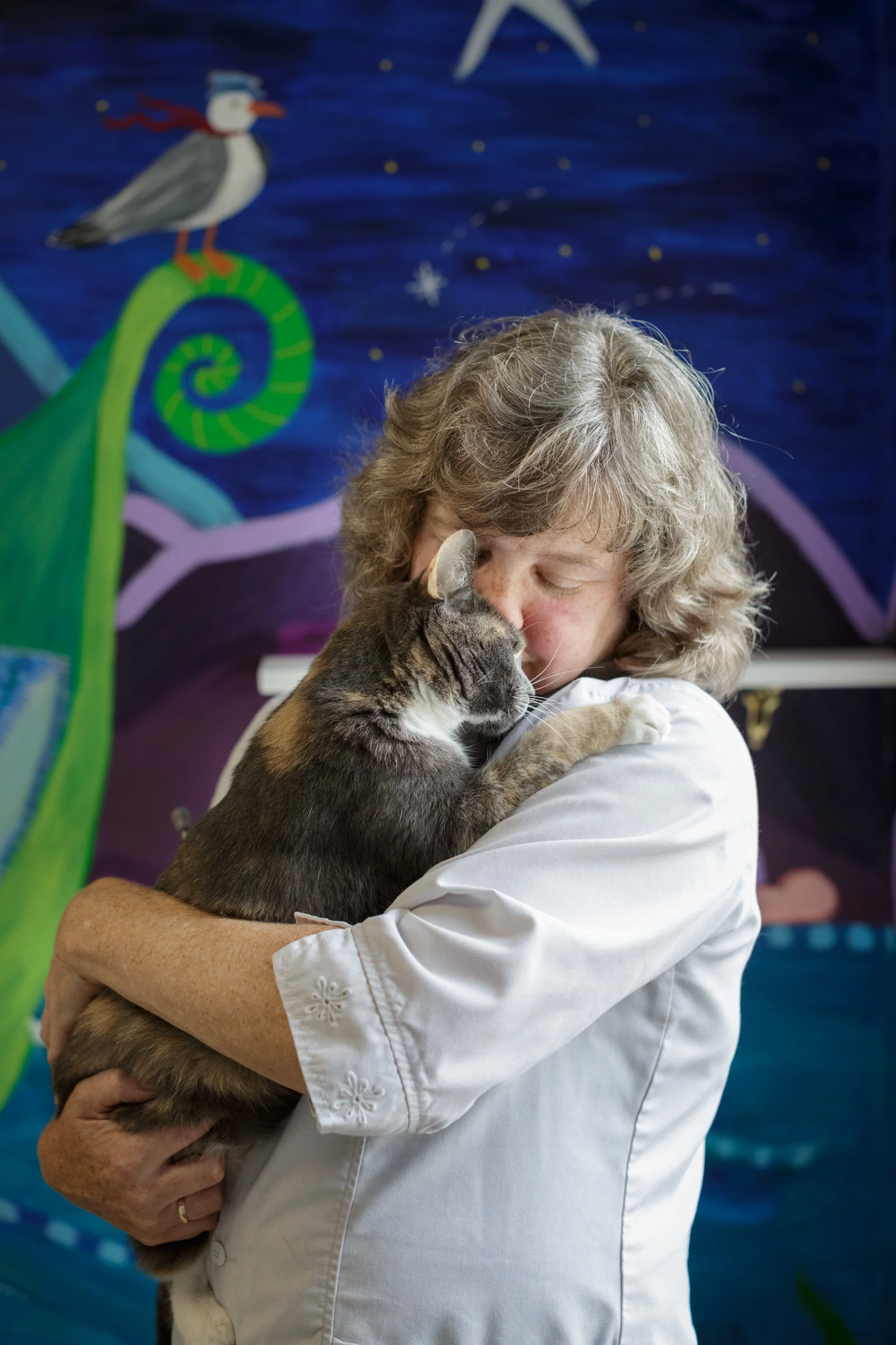 Contact — Affectionately Cats