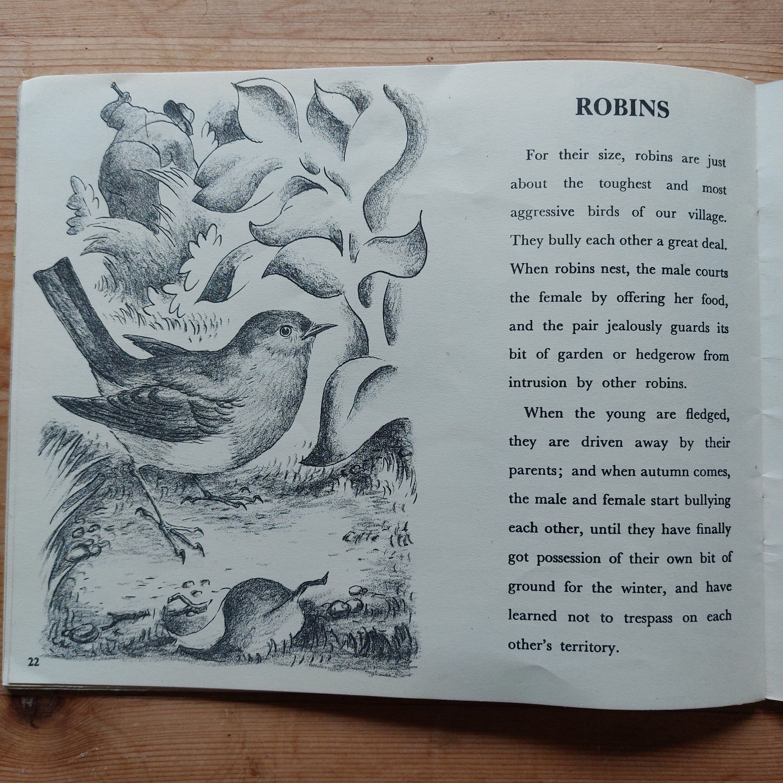 Vintage Puffin Books — The Penguin Chap