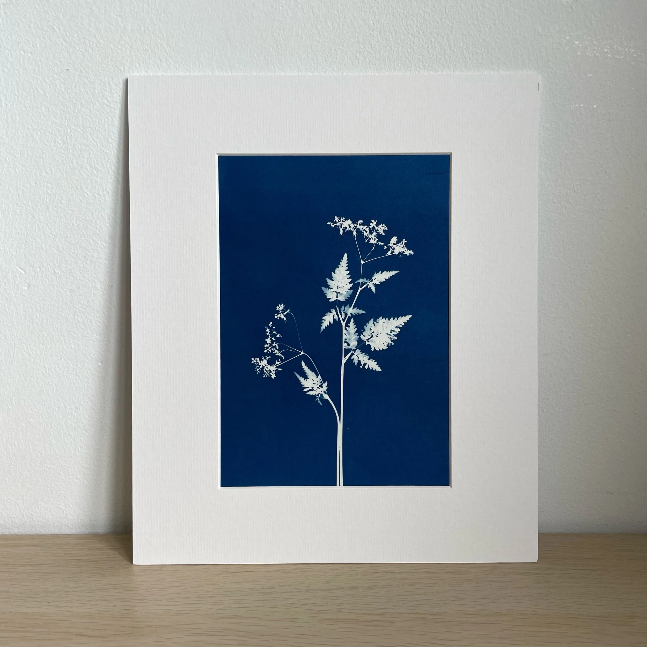Shop | Siop — Sera Wyn