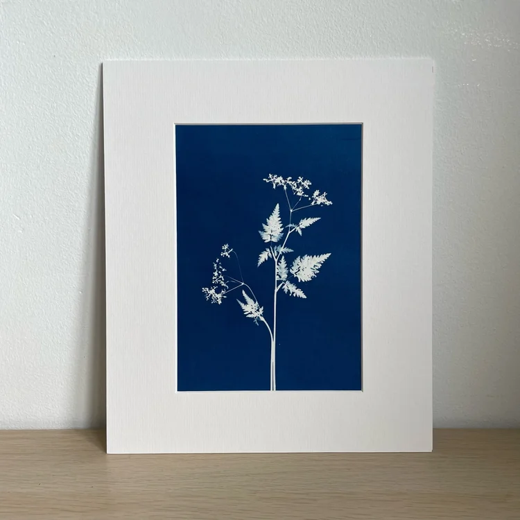 Shop | Siop — Sera Wyn