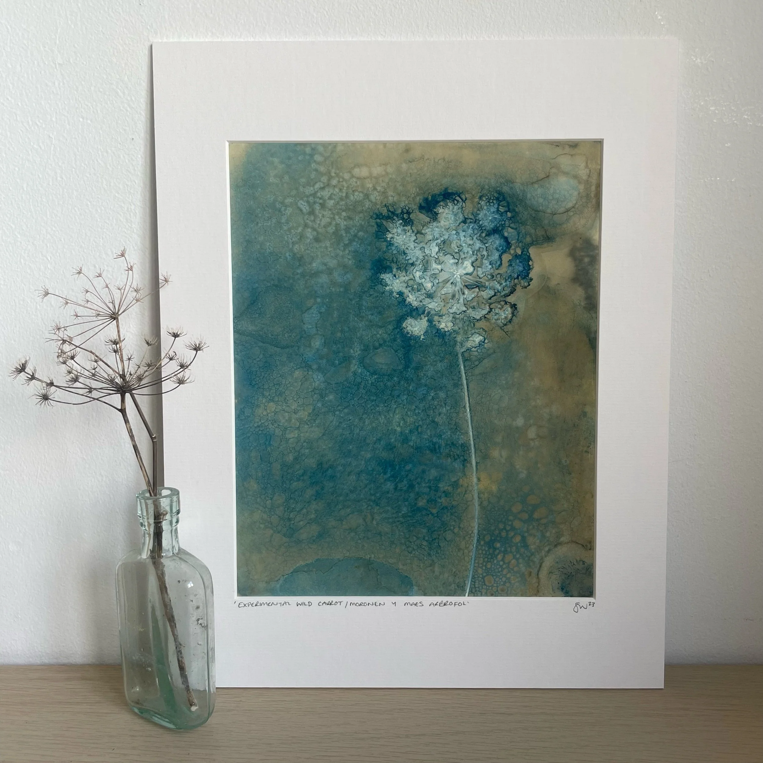 Shop | Siop — Sera Wyn