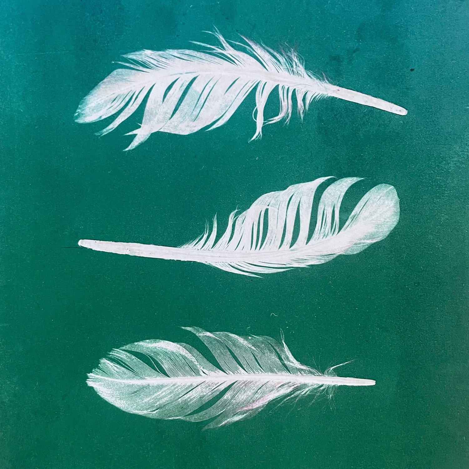Shop | Siop — Sera Wyn