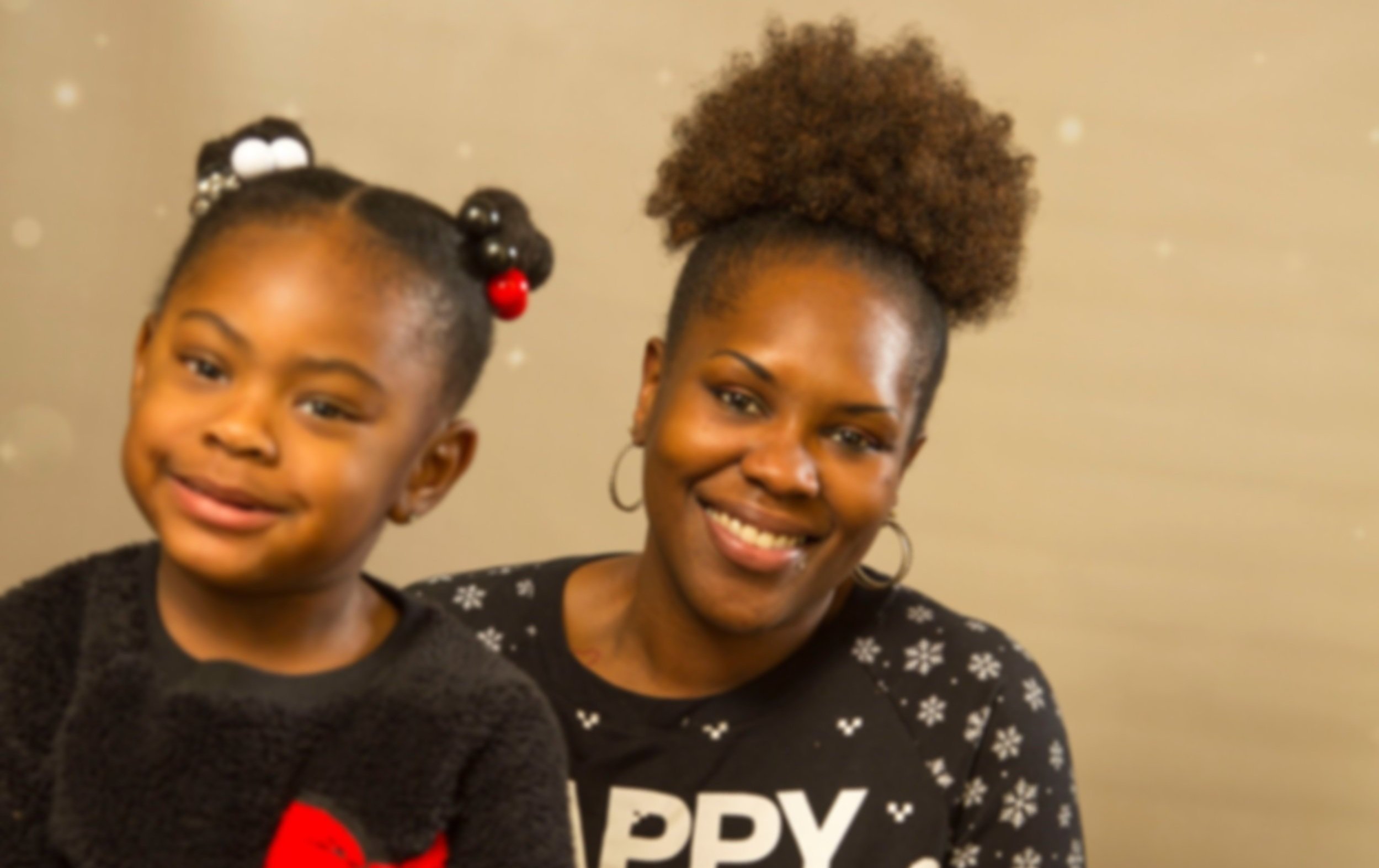 Program Overview — Raise The Barr