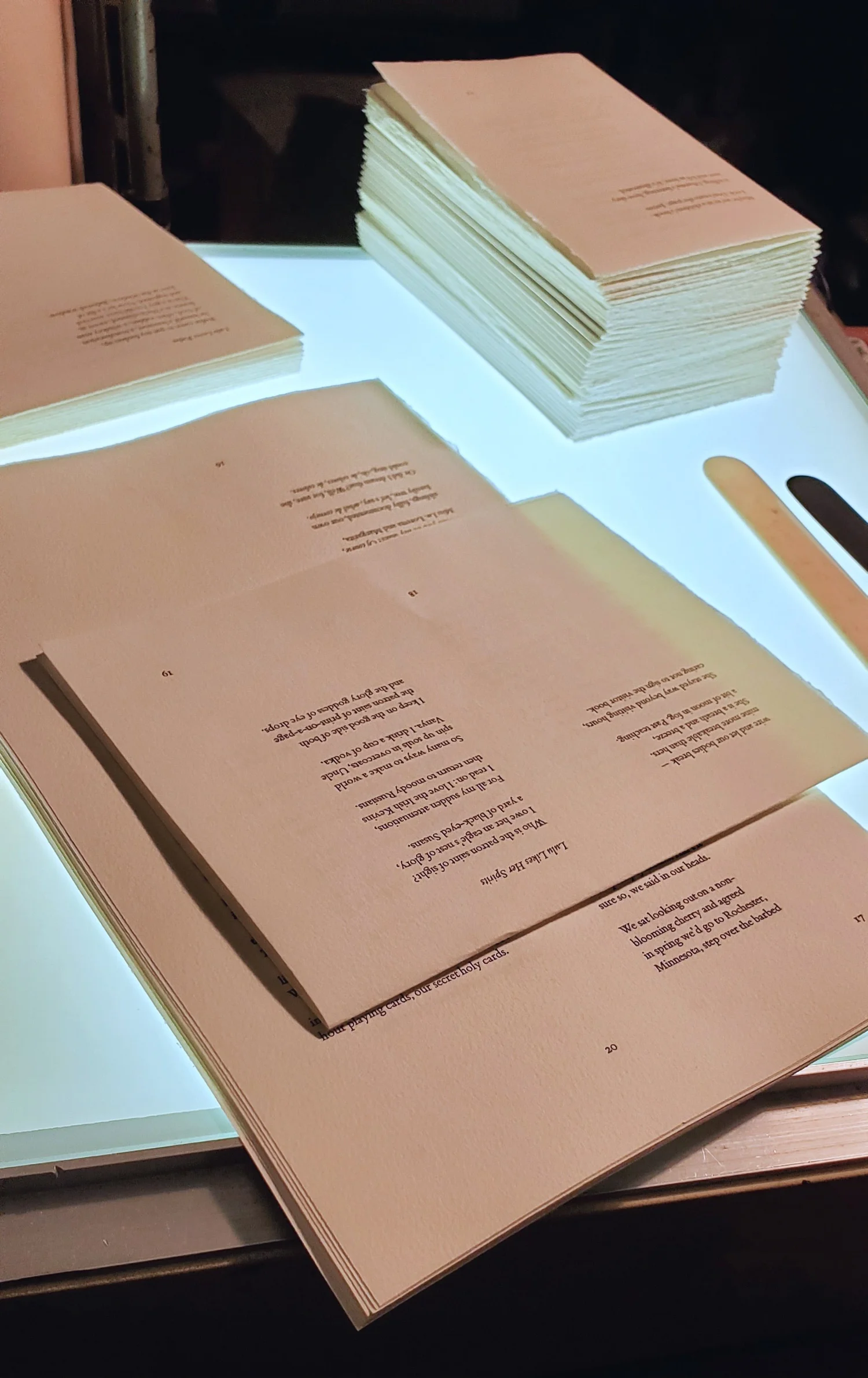 Skylight — GIBRALTAR EDITIONS