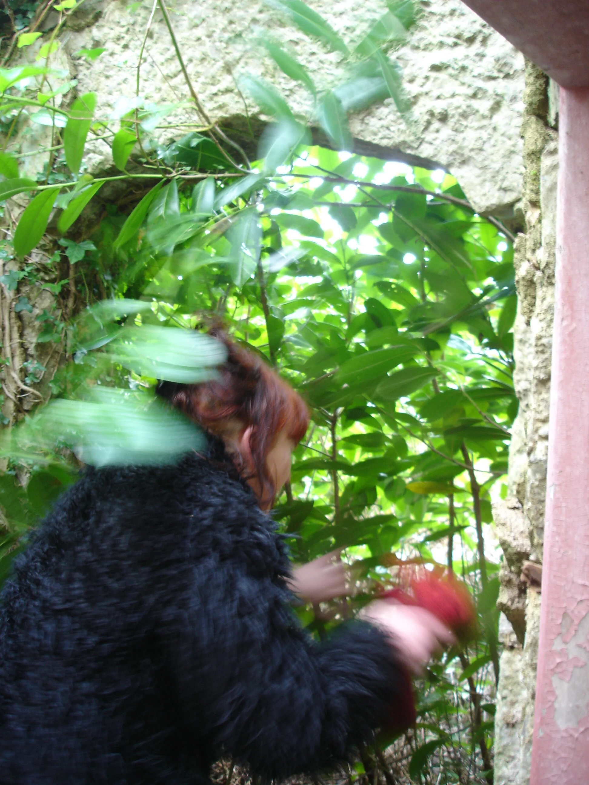 Life at the Billy Banks — Nichola Goff