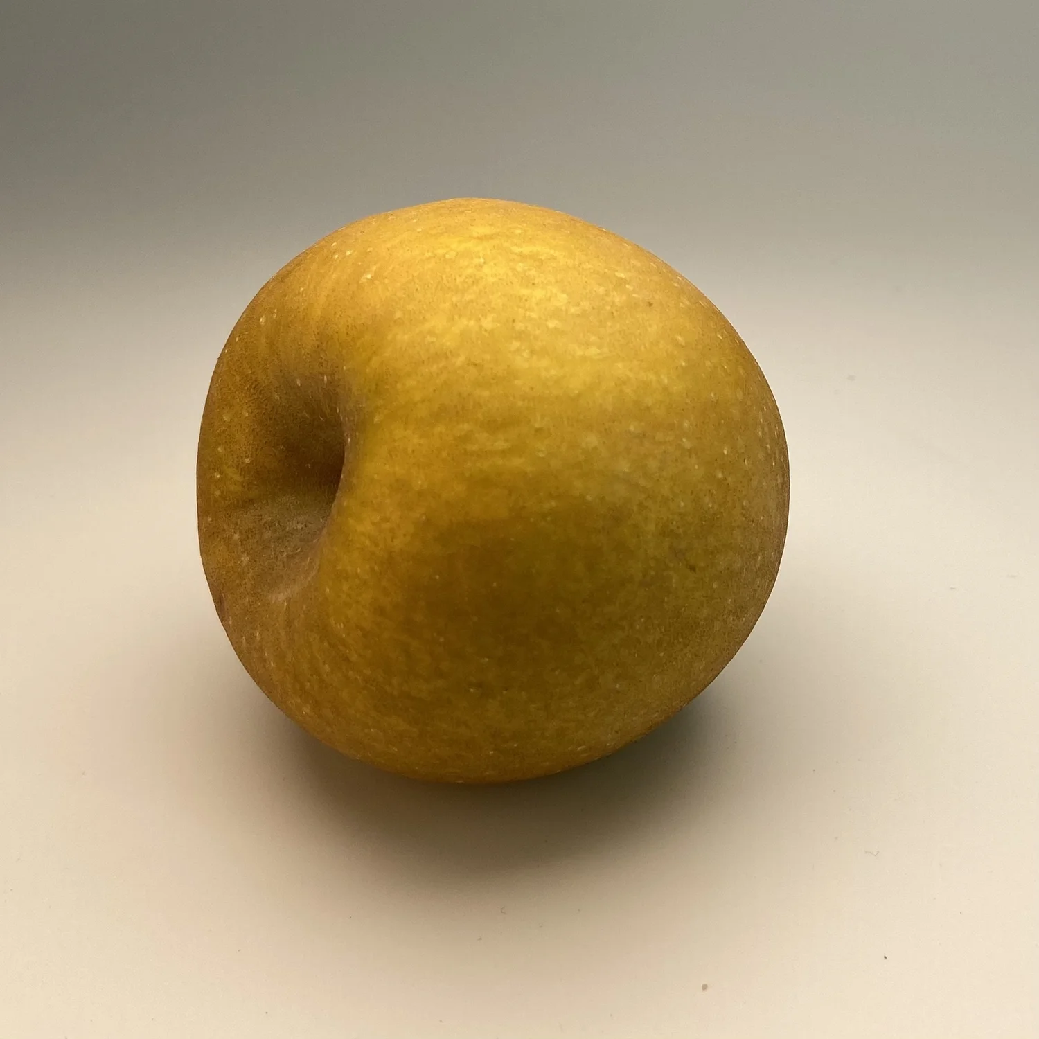 Apple Varieties — Northern Orchards