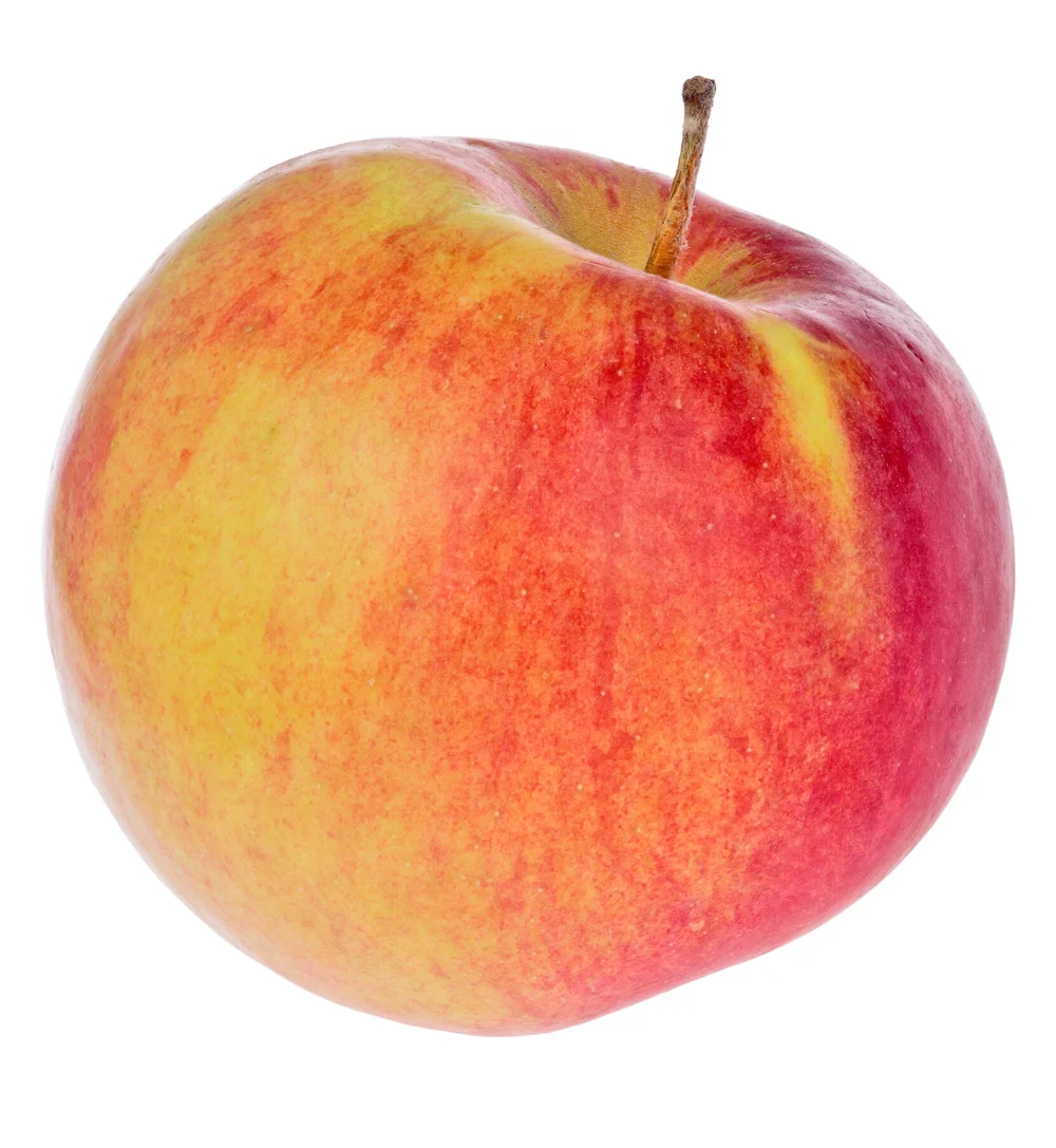 Apple Varieties — Northern Orchards