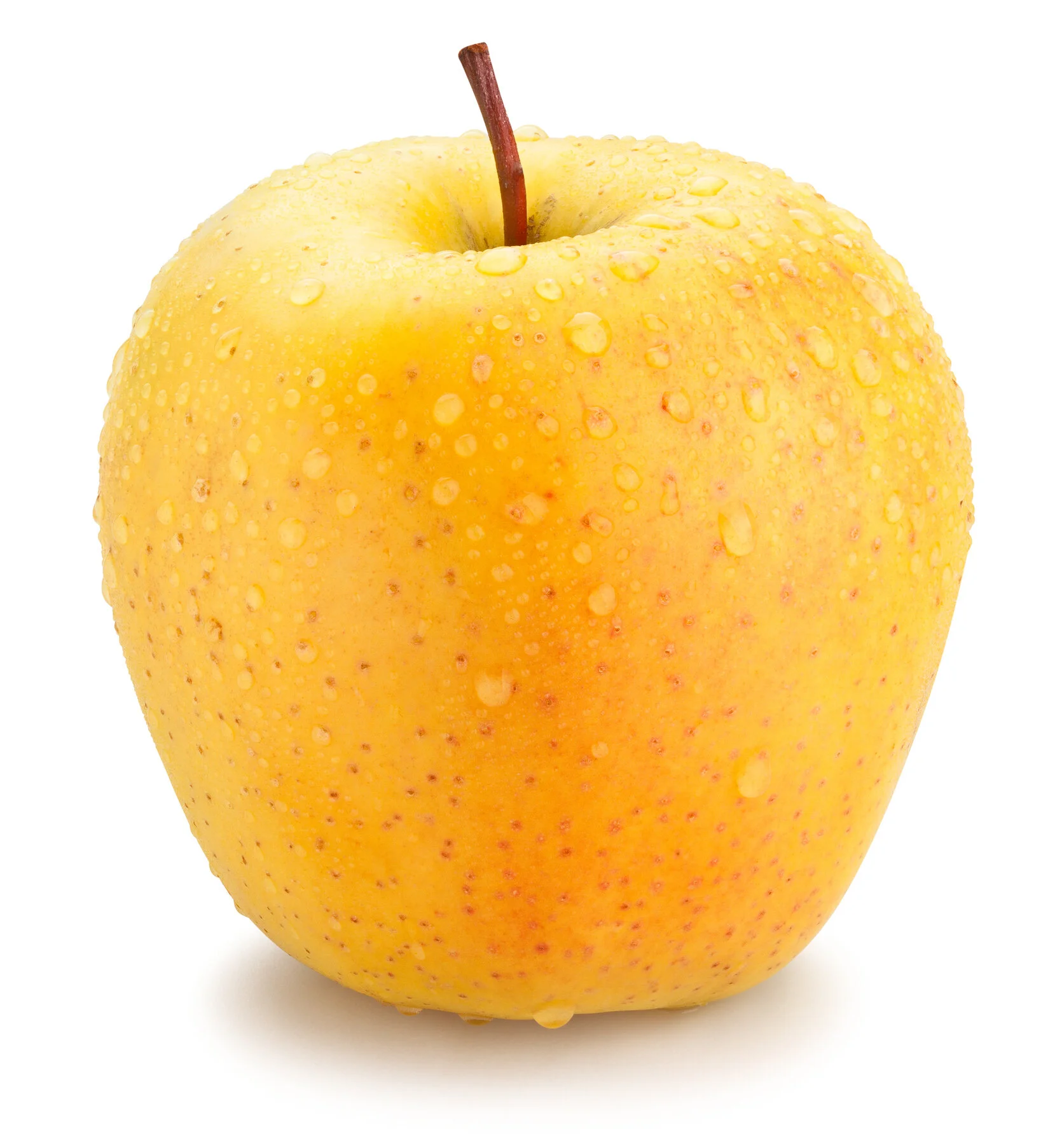 Apple Varieties — Northern Orchards