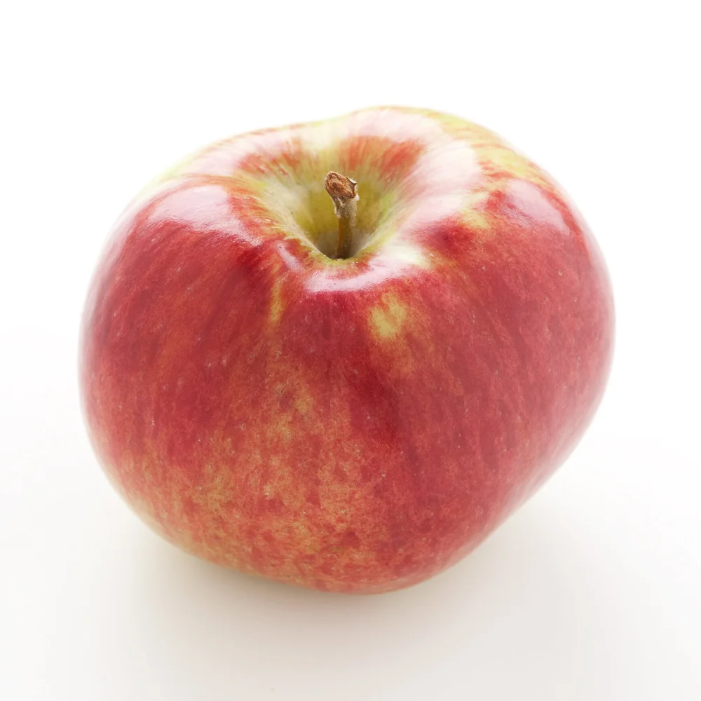 Apple Varieties — Northern Orchards