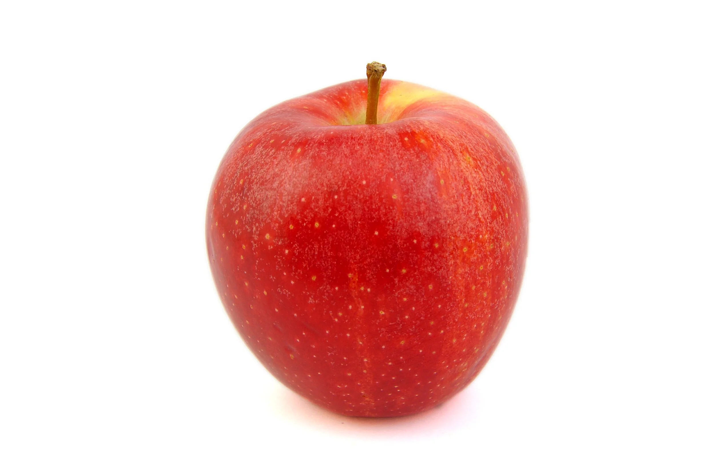 Apple Varieties — Northern Orchards