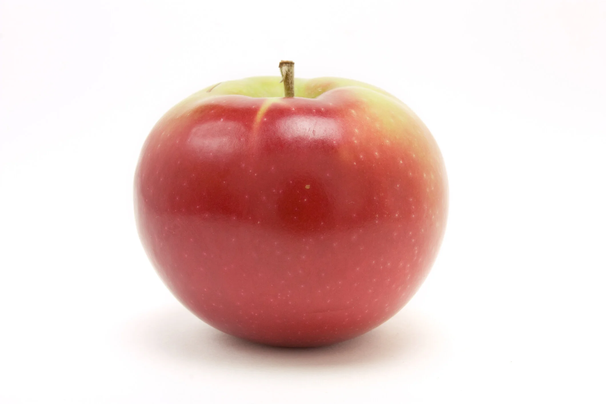 Apple Varieties — Northern Orchards