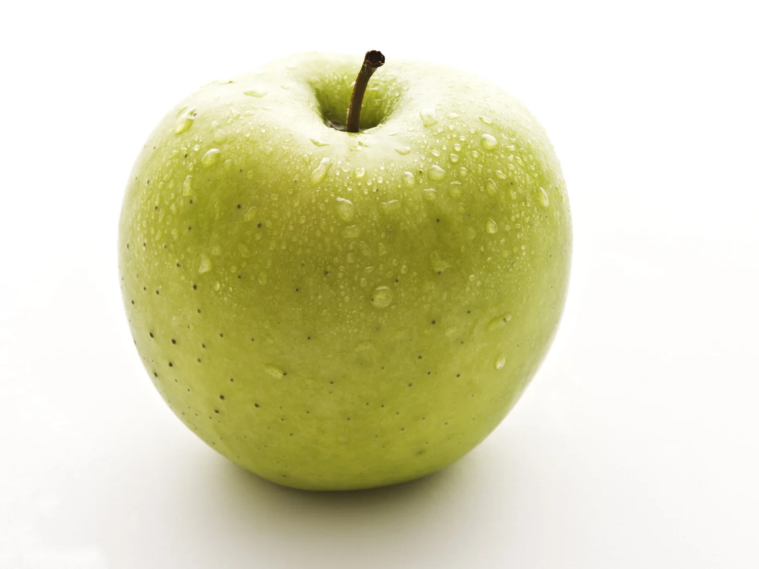 Apple Varieties — Northern Orchards