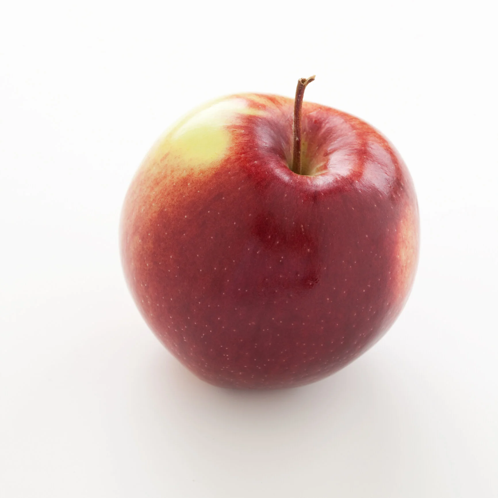 Apple Varieties — Northern Orchards