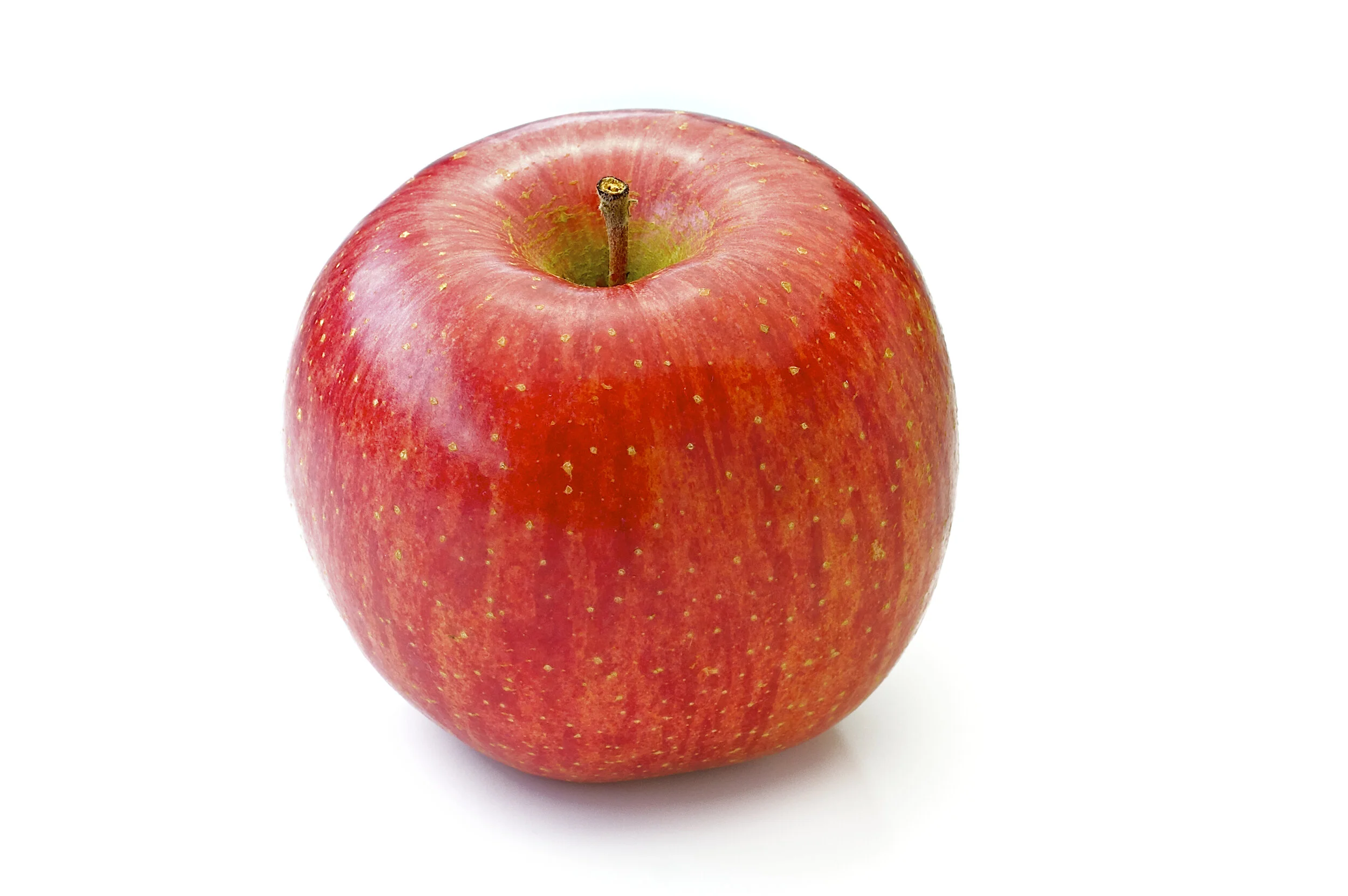 Apple Varieties — Northern Orchards