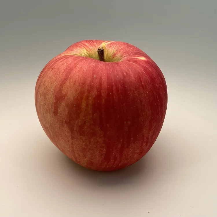 Apple Varieties — Northern Orchards