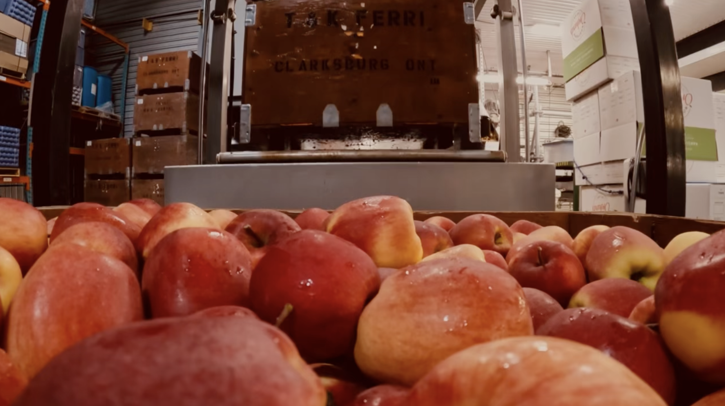 Apple Varieties — Northern Orchards
