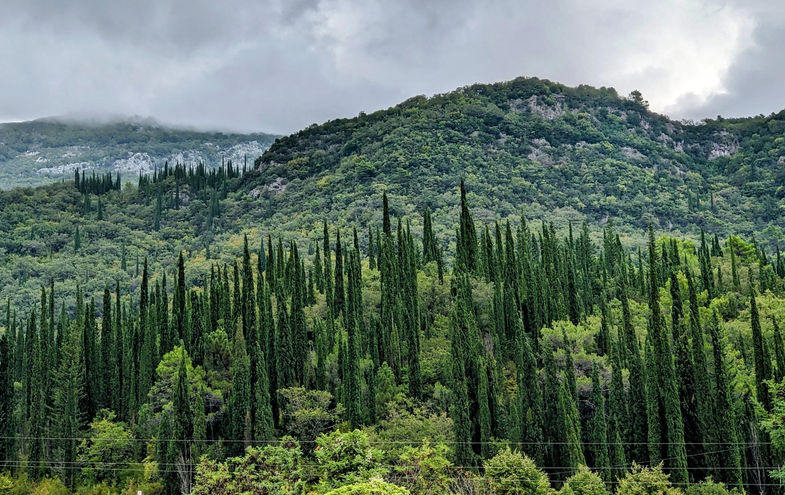 Montenegro — Rogue Wanderers