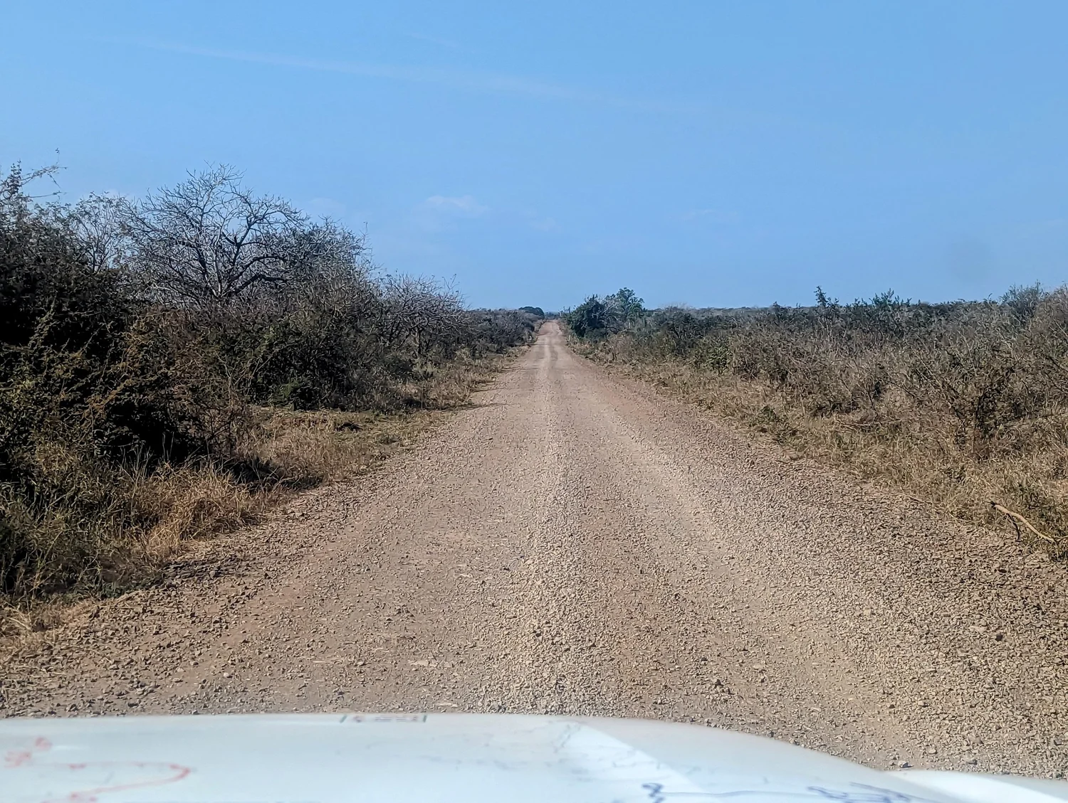 Mozambique — Rogue Wanderers