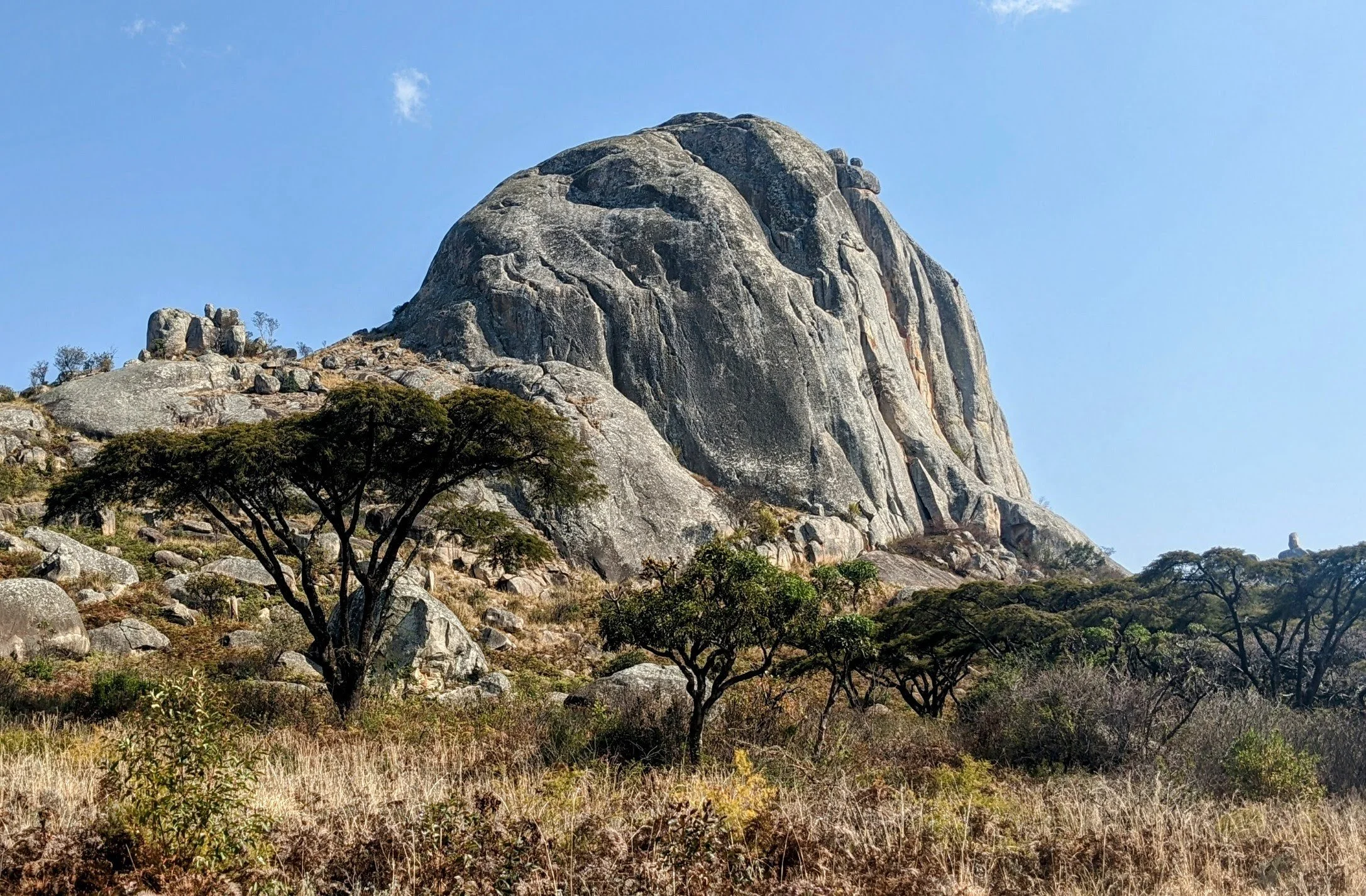 Zimbabwe — Rogue Wanderers