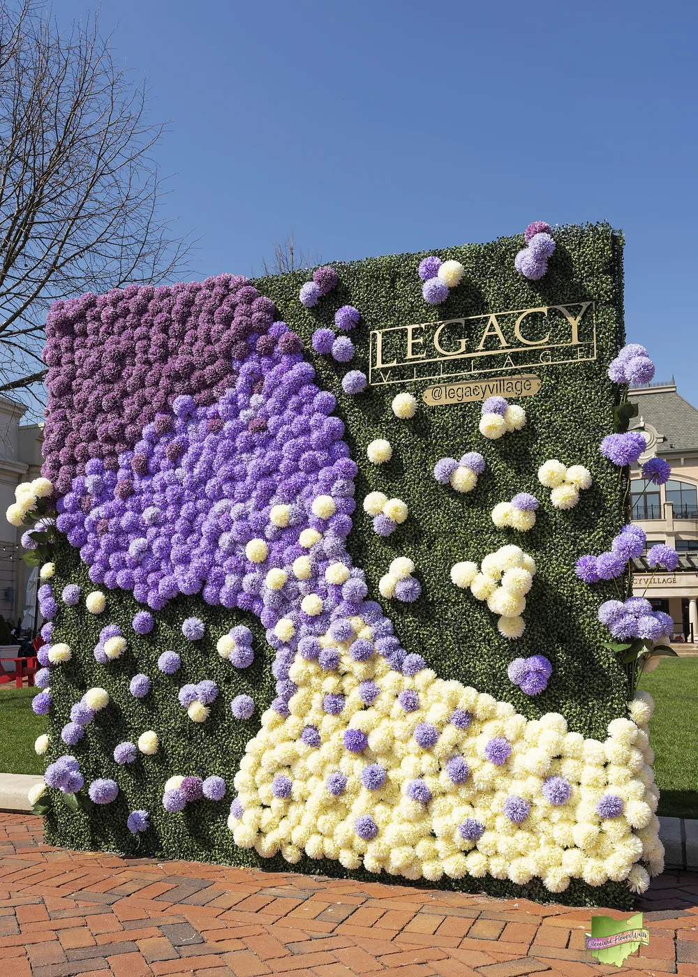 Portfolio — Cleveland Flower Walls