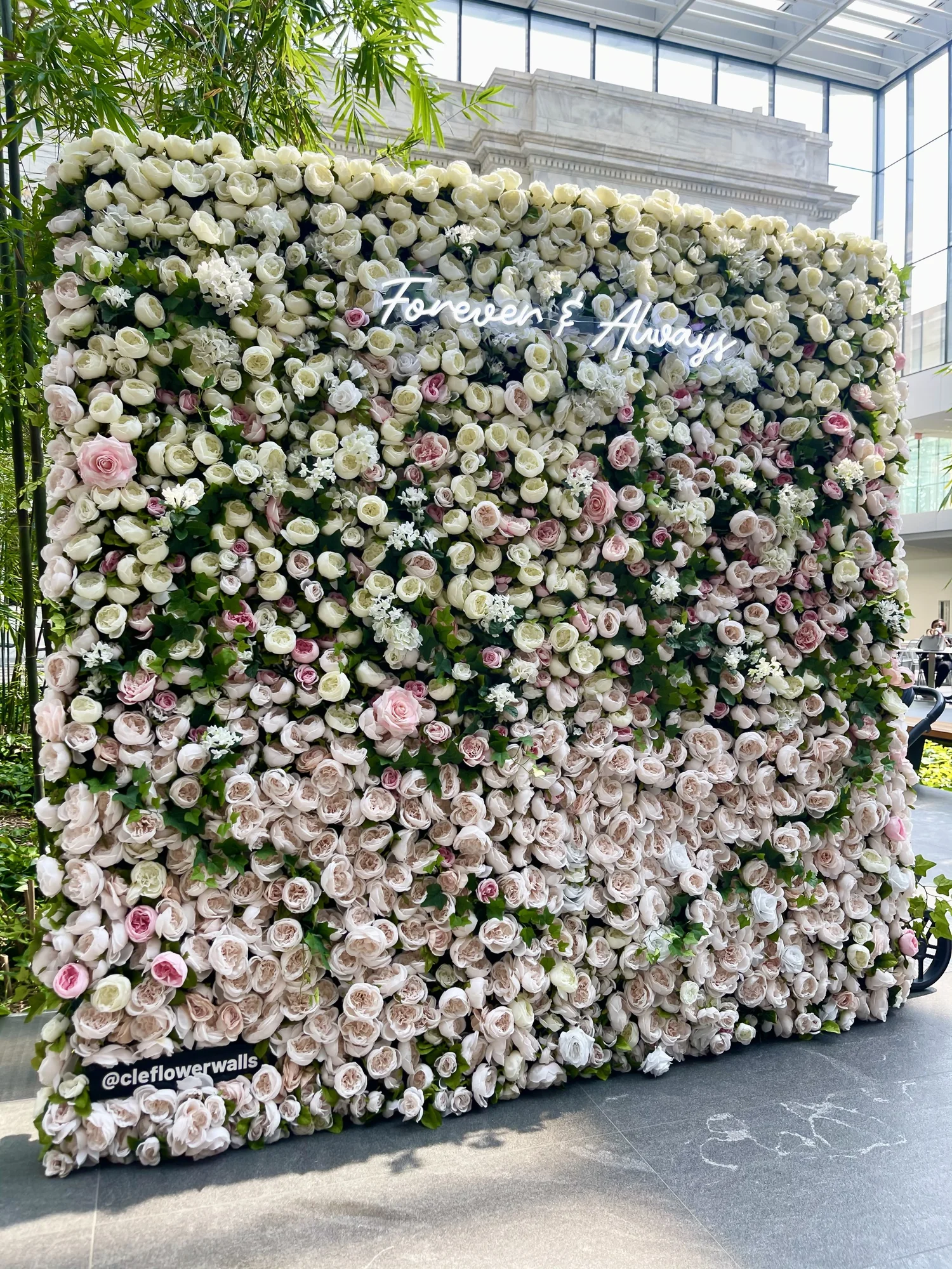 Portfolio — Cleveland Flower Walls