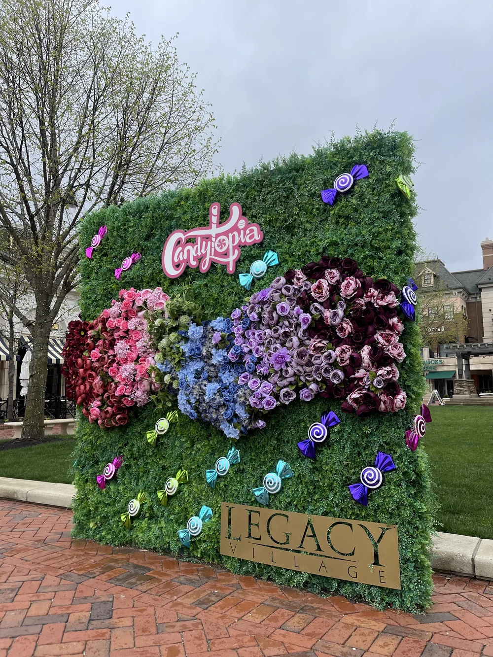 Portfolio — Cleveland Flower Walls