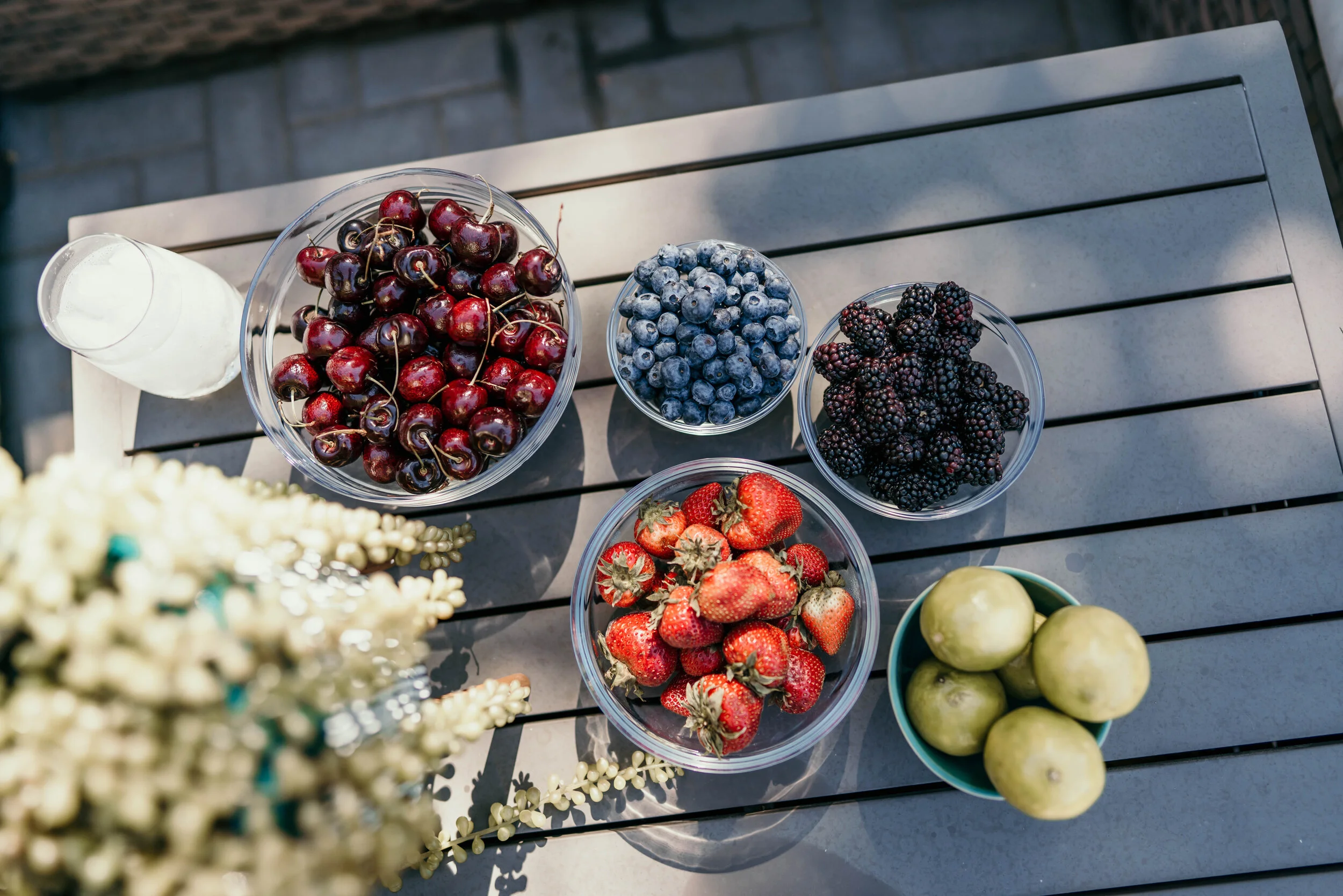 Phil Pallen—PaleOMG | Brand Identity & Website for Juli Bauer Roth