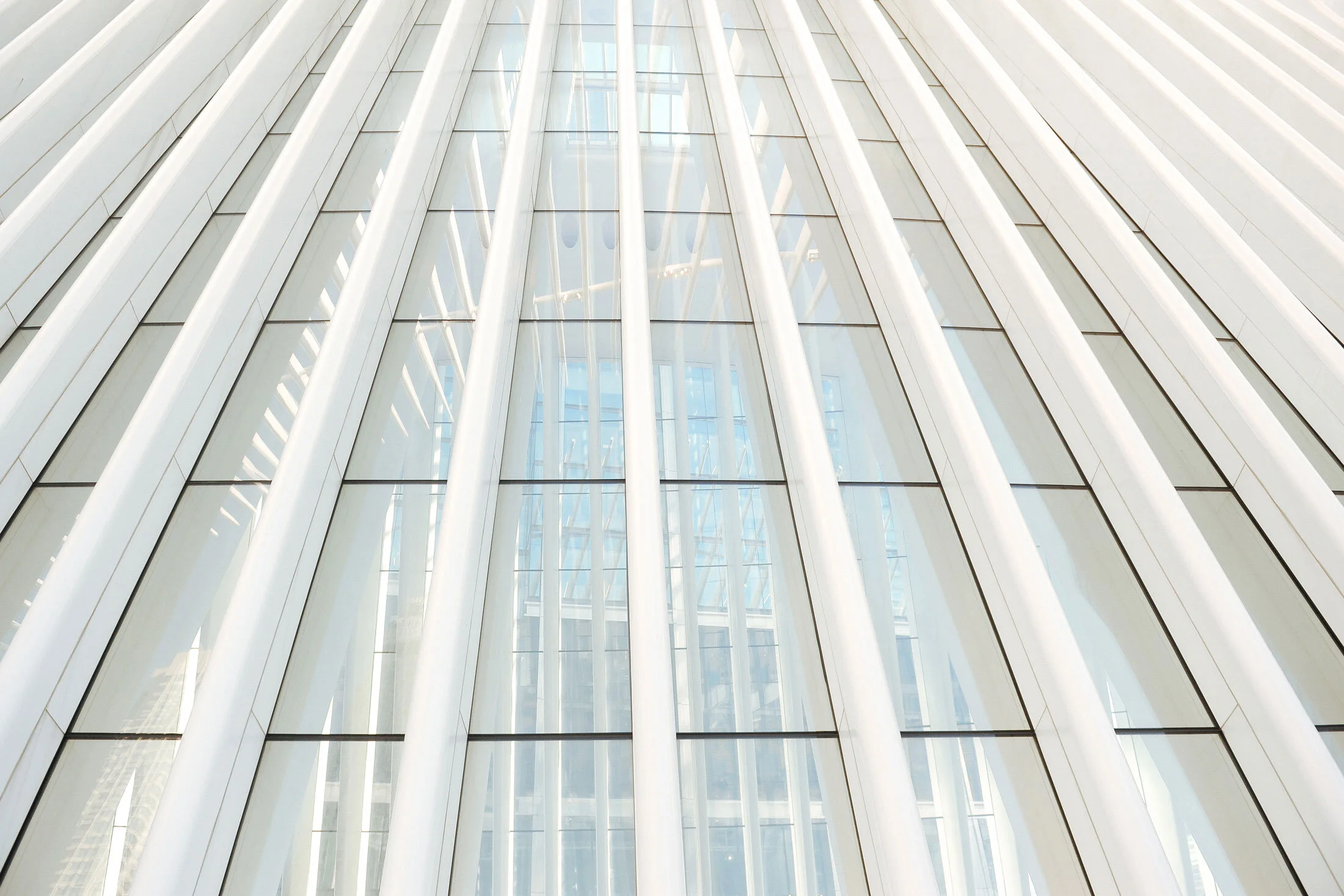 Phil Pallen—Susan Salgado