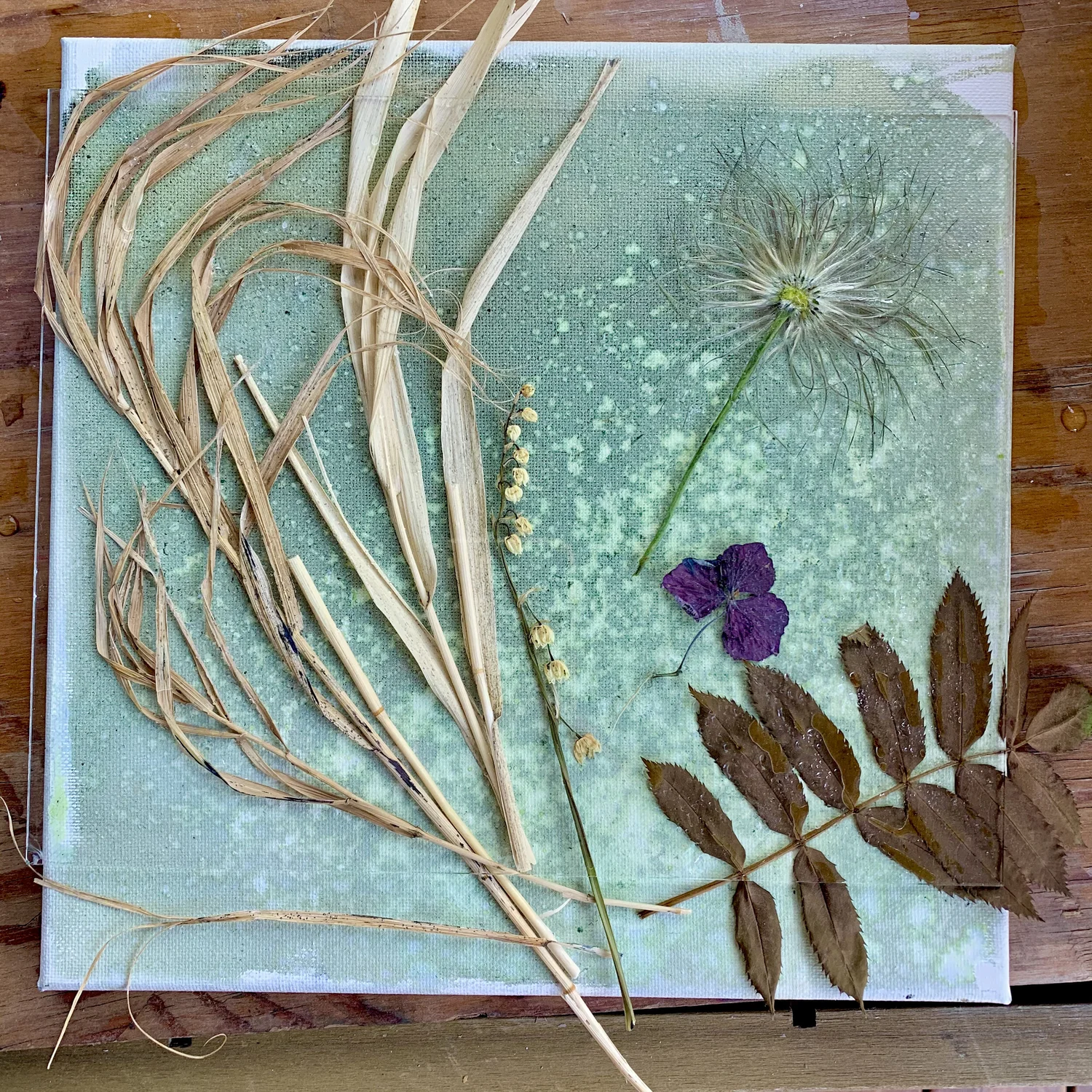 Cyanotype on Canvas — EngelBelle