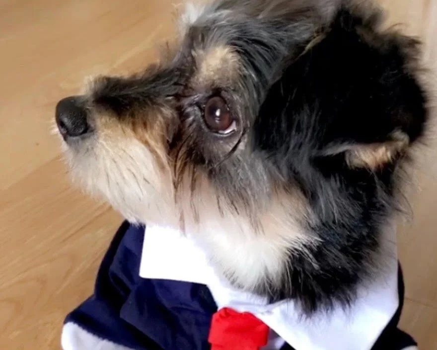 SSDP Welcomes New Practice Administrator Christina Adams! — SSDP