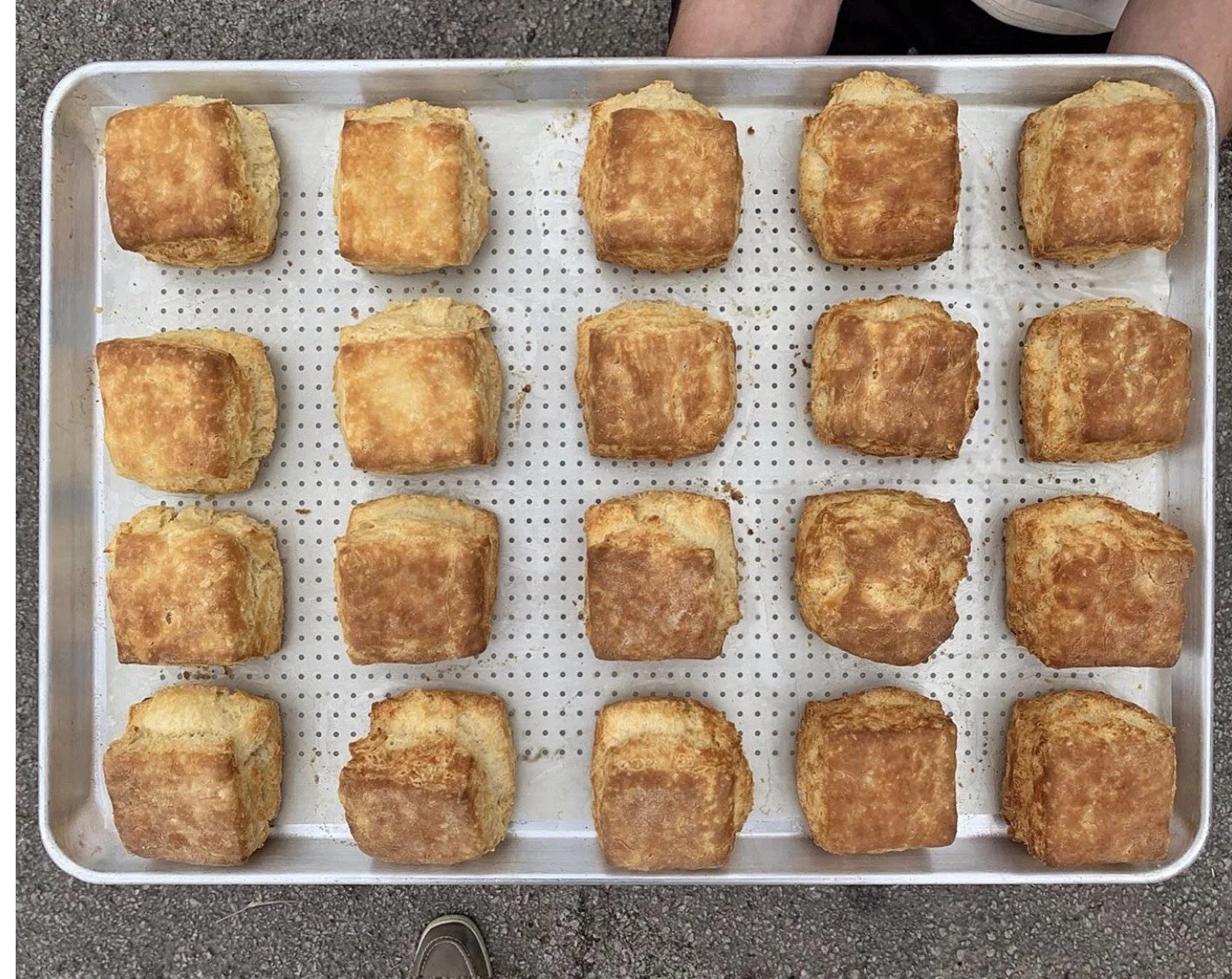 Gallery — Bird Bird Biscuit