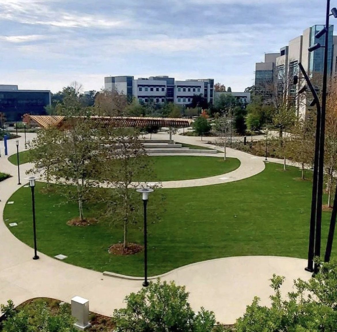 MISSING: Rachel Cooke — The Murder Diaries Podcast