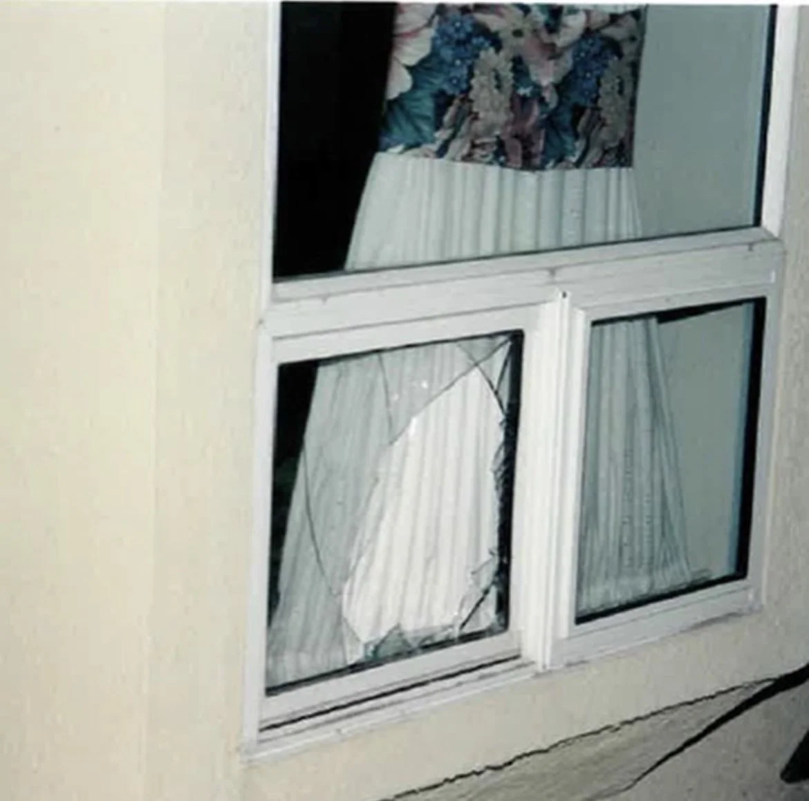 MURDERED: Jenny Lin — The Murder Diaries Podcast