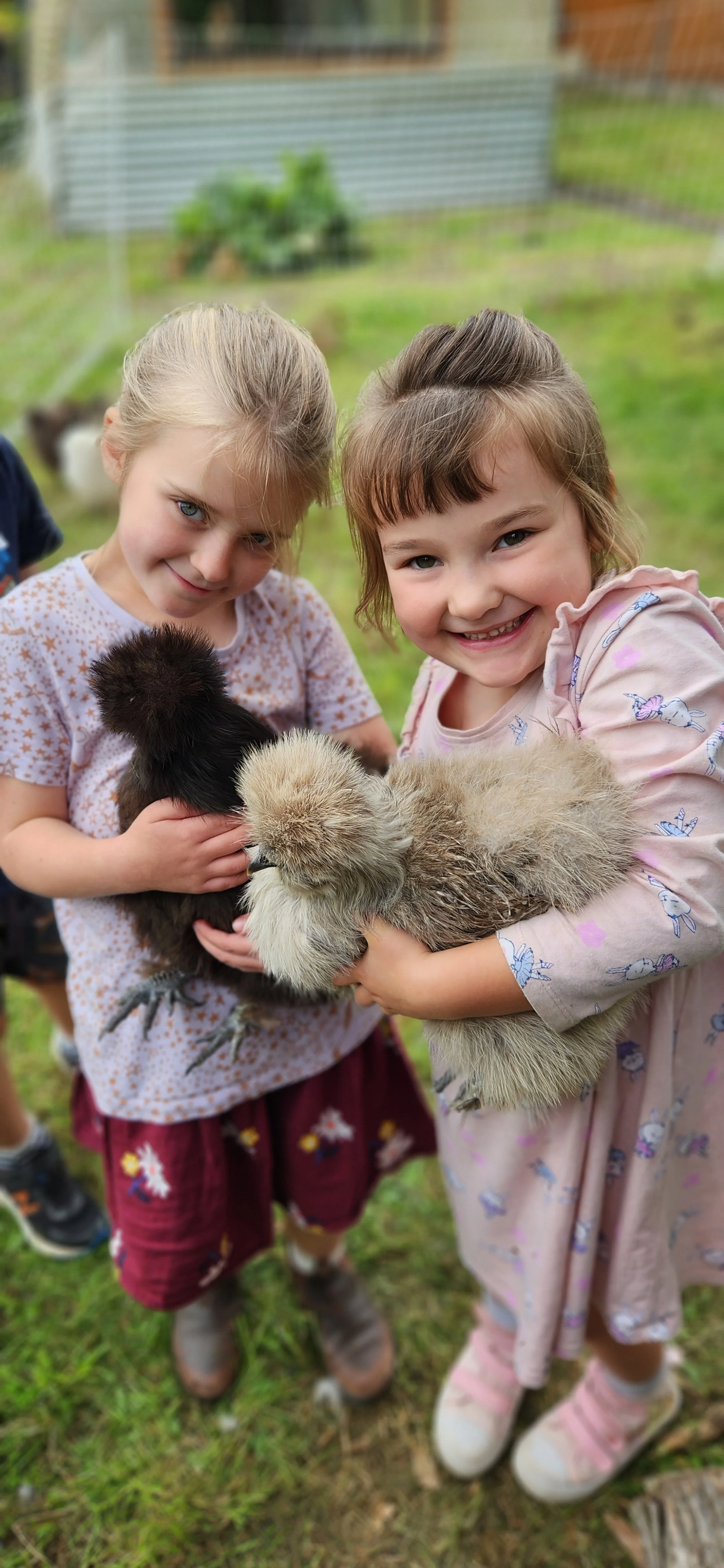 Enrolment — Koonwarra Village School