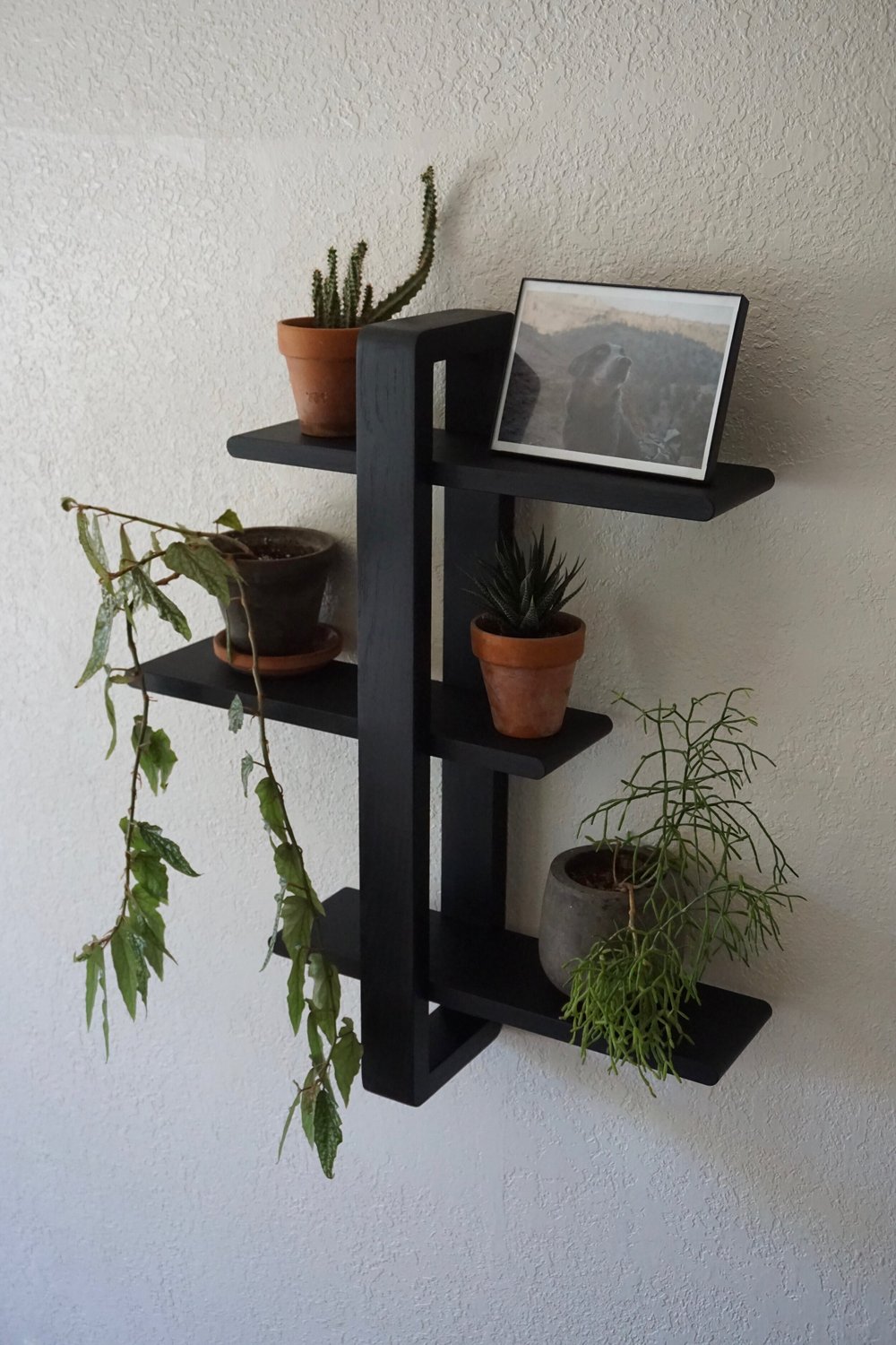 Shop — Liminal Studio