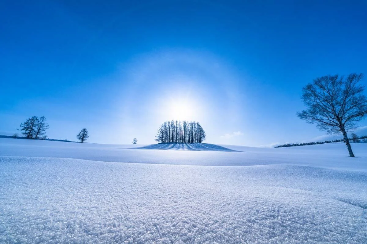 5 Snowiest Prefectures in Japan - Yukiguni, 雪国 — NANI?! なに - Your Bite ...