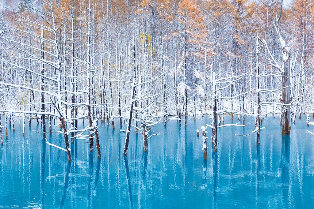 5 Snowiest Prefectures in Japan - Yukiguni, 雪国 — NANI?! なに - Your Bite ...