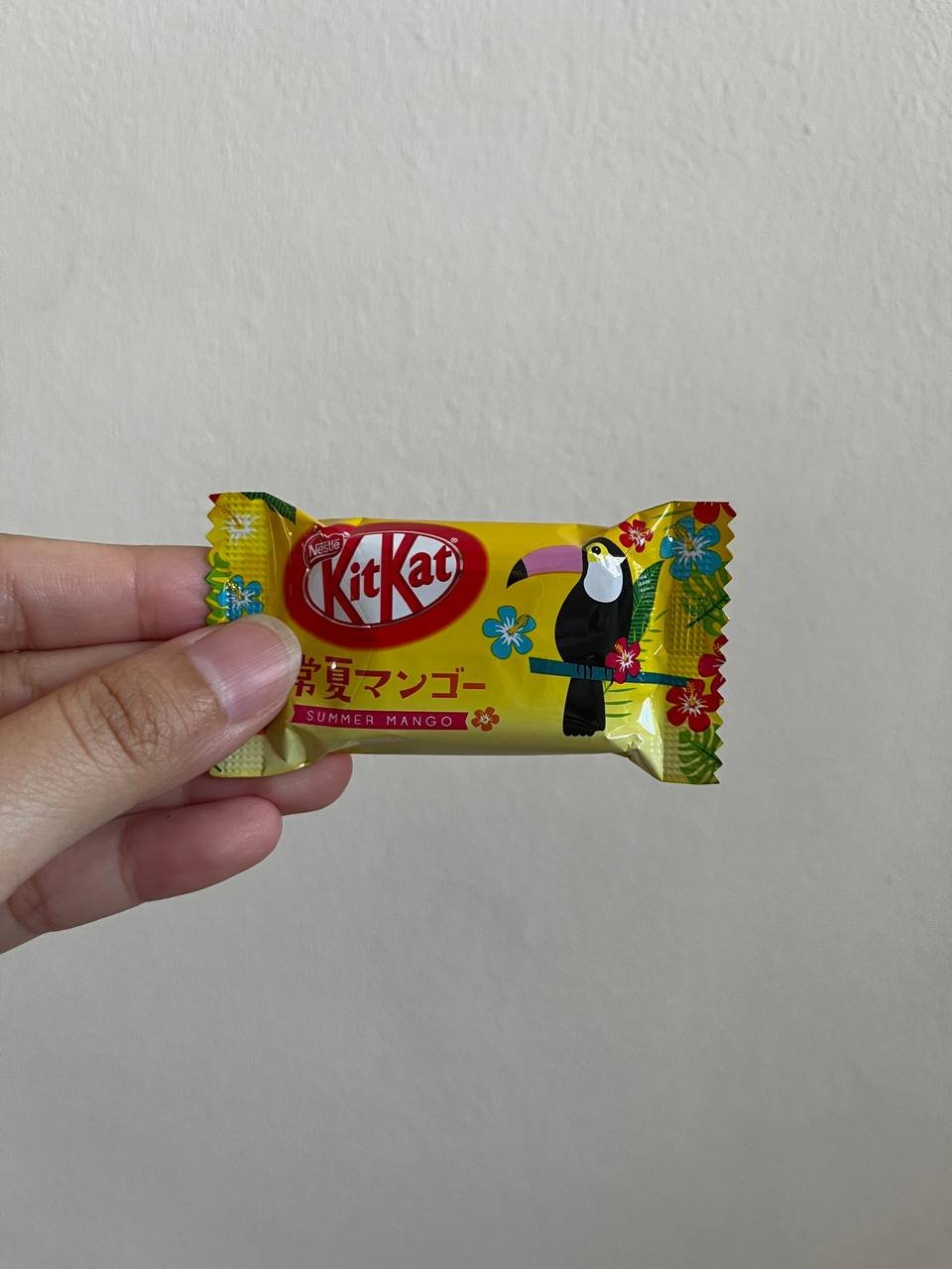 Review: We Tried 18 Exclusive Flavours Of Kit Kat From Japan — NANI ...