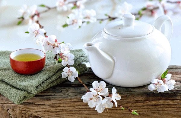 Japan Travel, Food & Lifestyle Guide in Singapore