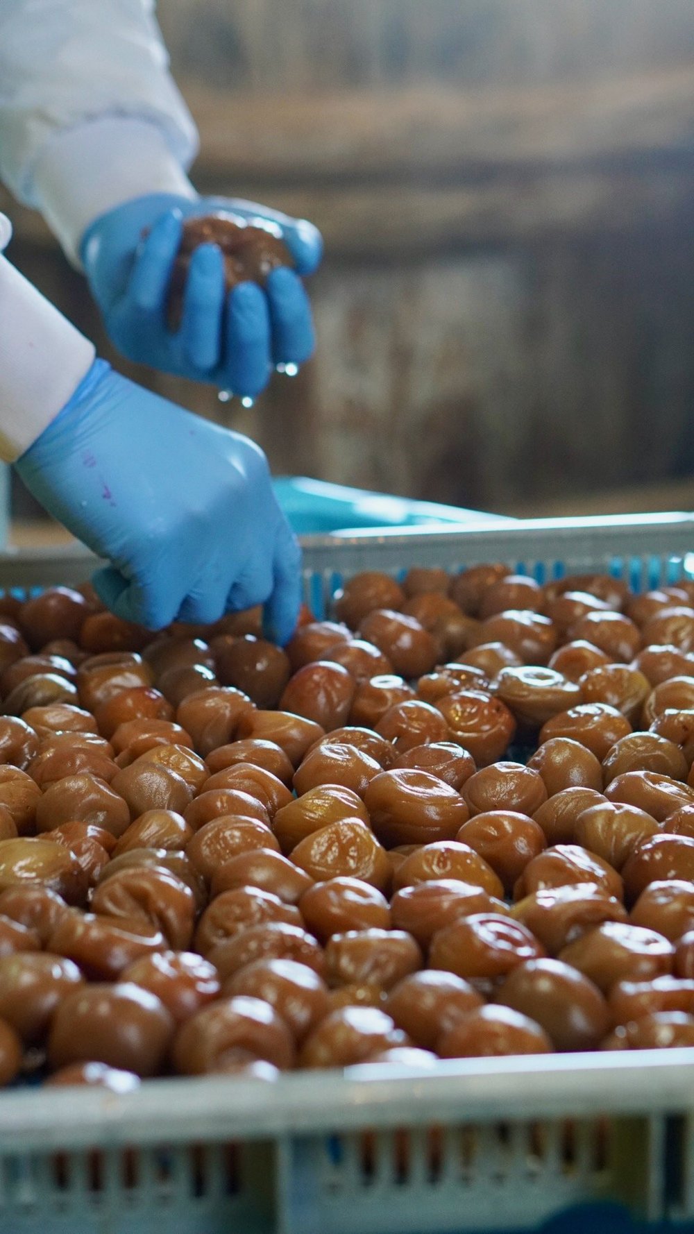 Minabe Tanabe Region, Wakayama Guide: All You Need to Know About Japan ...