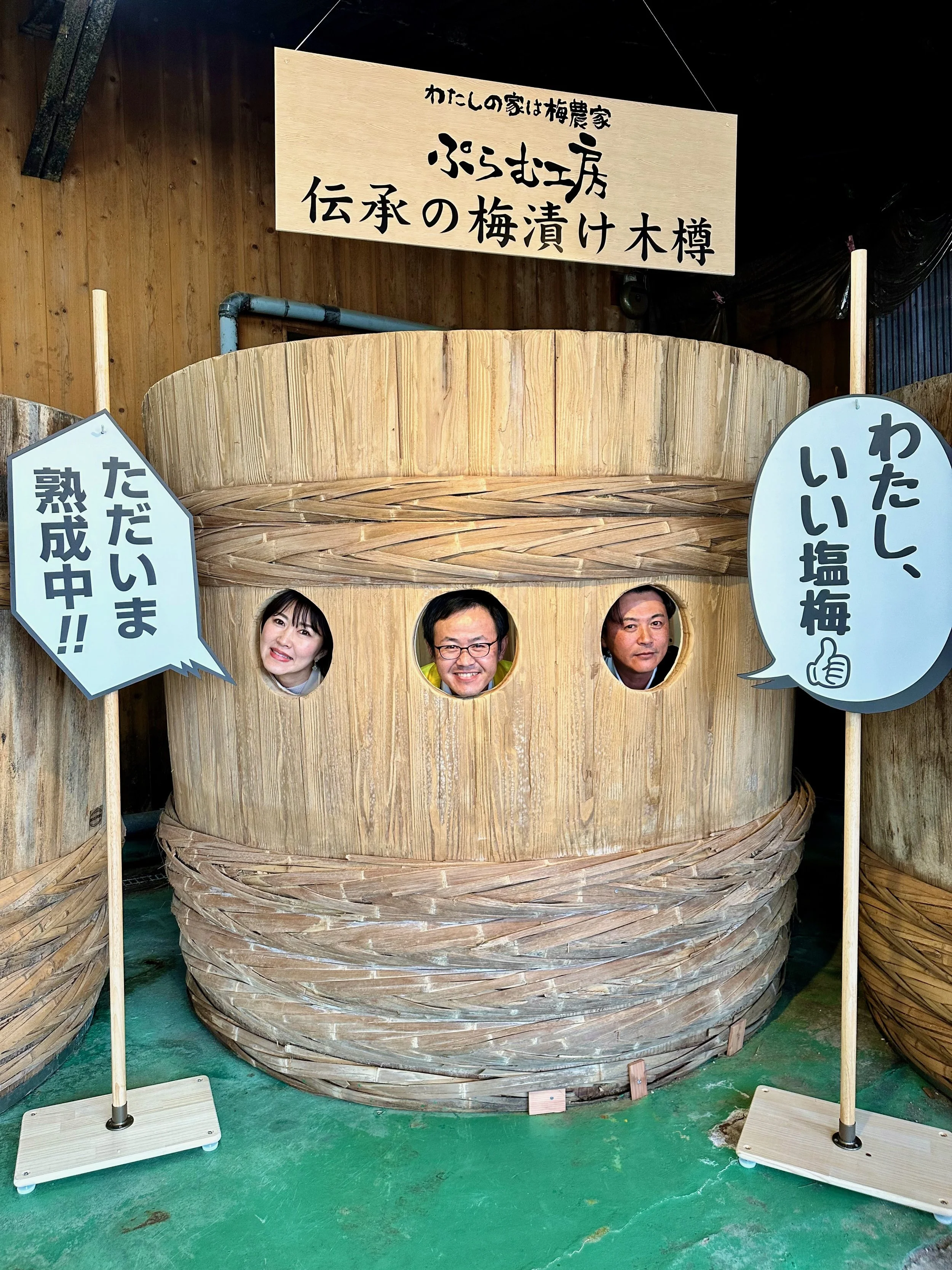 Minabe Tanabe Region, Wakayama Guide: All You Need to Know About Japan’s Ume Heartland — NANI ...