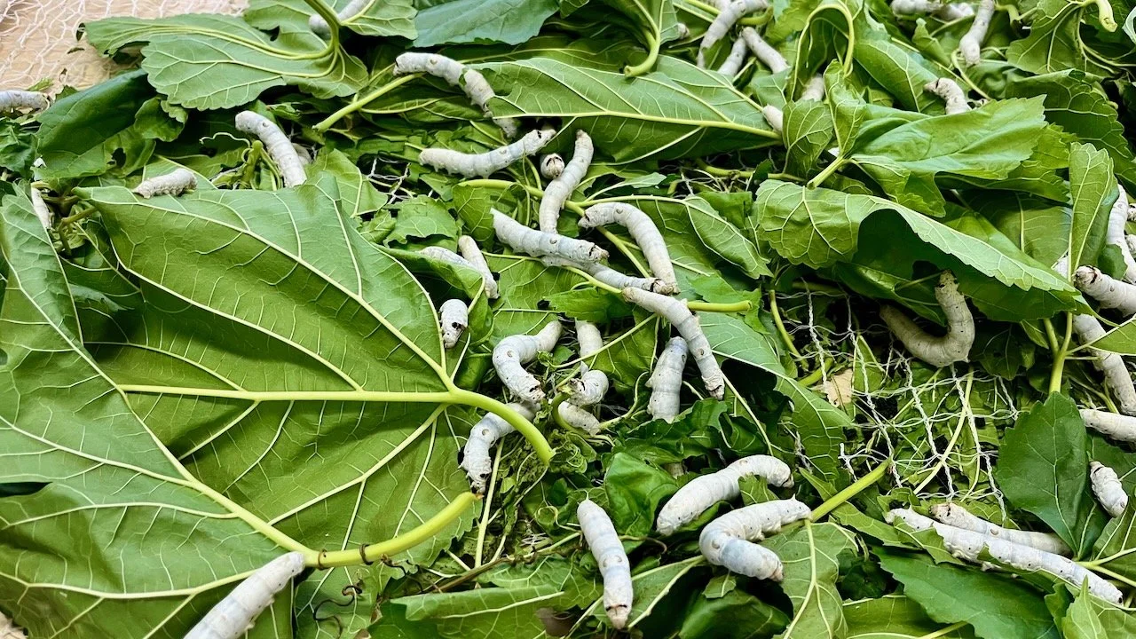 20 Best Things To Do And See In Suwa Region, Nagano Prefecture — NANI ...