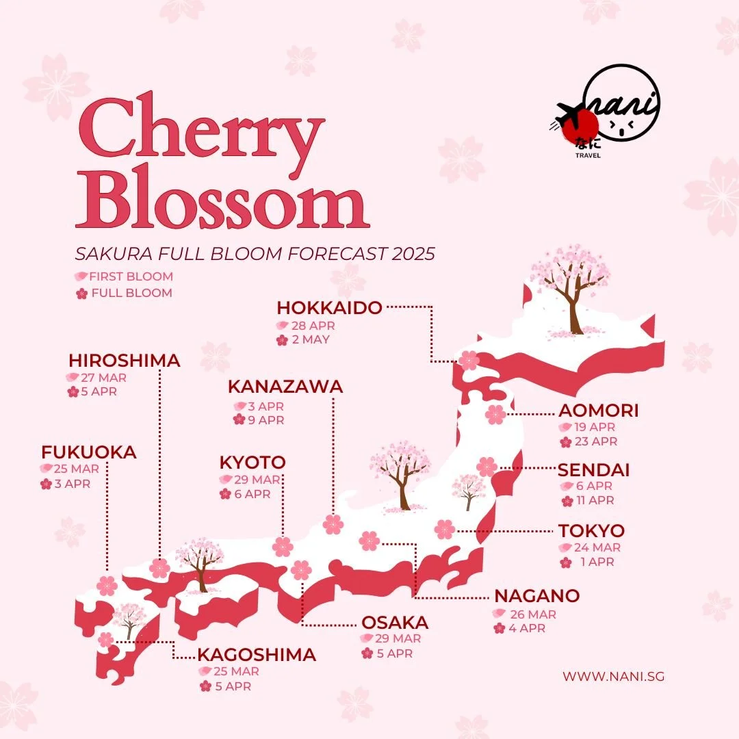Japan Cherry Blossom Viewing Guide 2025 — NANI?! なに - Singapore's Japanese Food & Lifestyle Guide