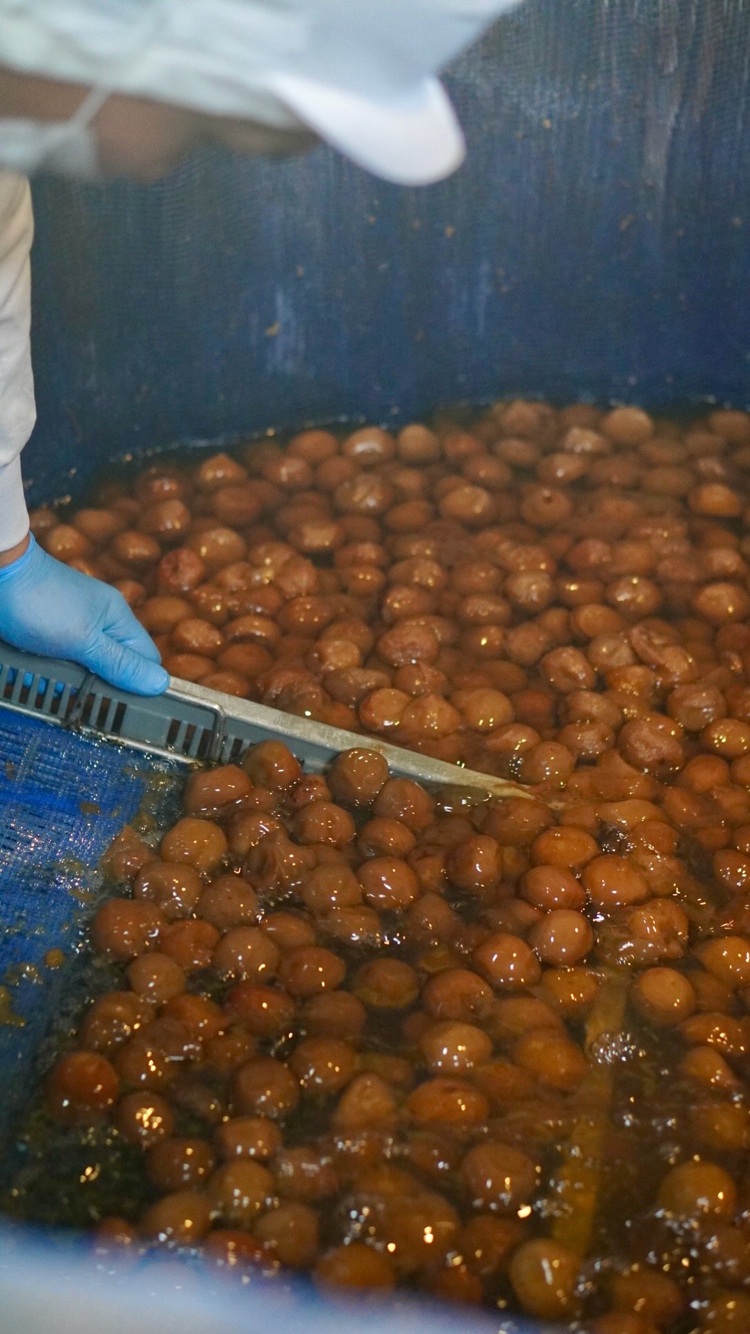 Minabe Tanabe Region, Wakayama Guide: All You Need to Know About Japan ...